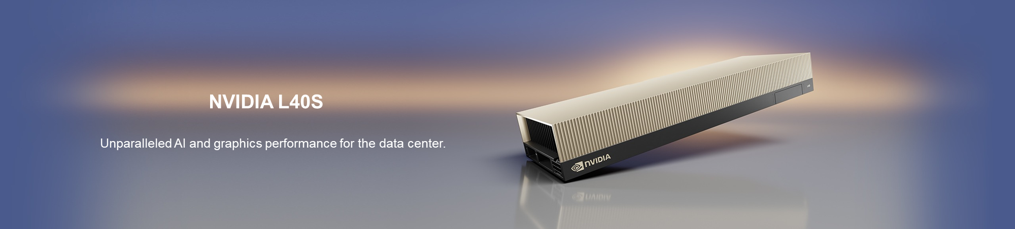 NVIDIA L40S GPU